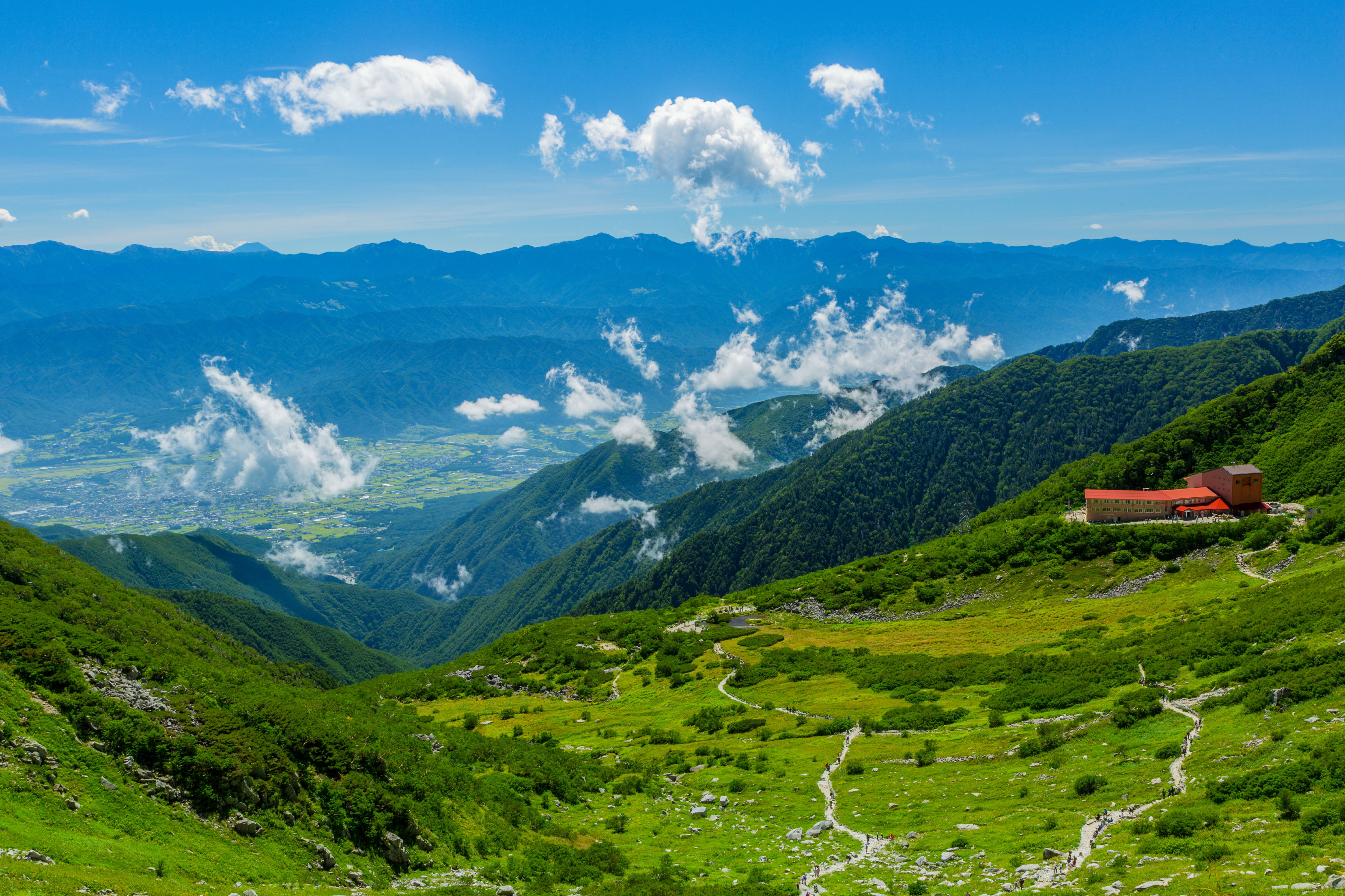 Millwood Pines Jaydin The Central Alps, Japan by Olga_D - Wrapped ...