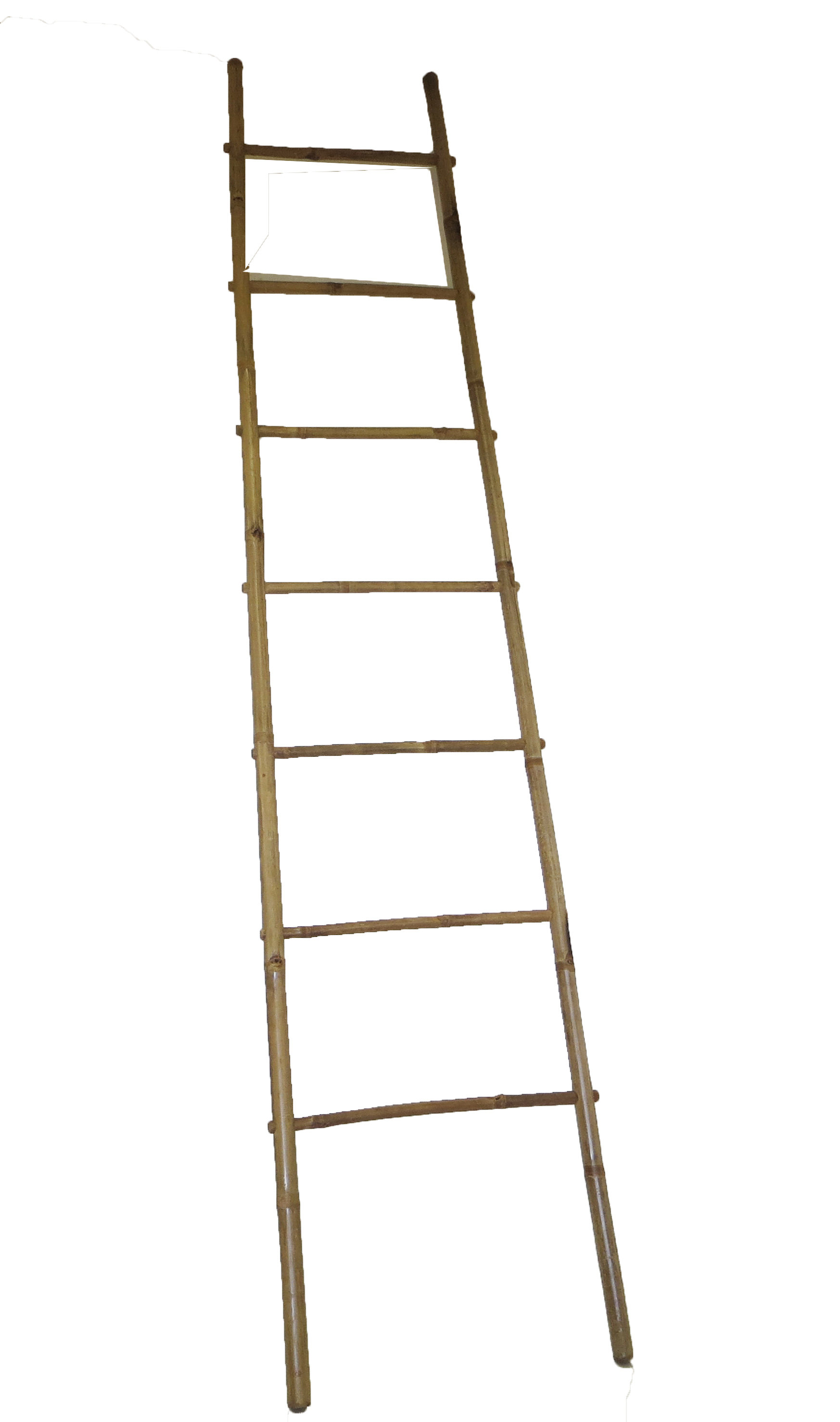 MGP Natural 7' Bamboo Ladder Rack - Wayfair Canada