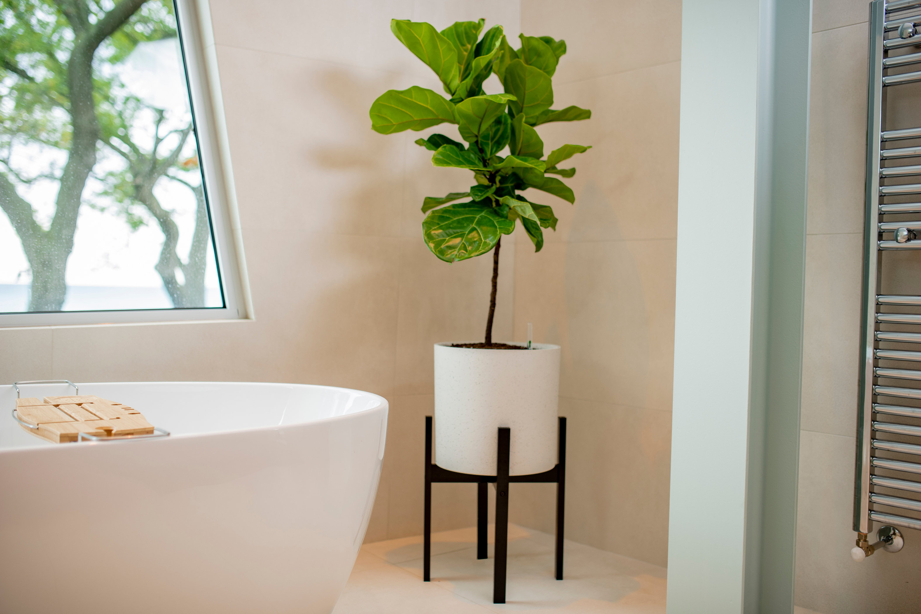 Vita Vaxa Indoor/Outdoor Self Watering Pot Planter & Reviews - Wayfair ...