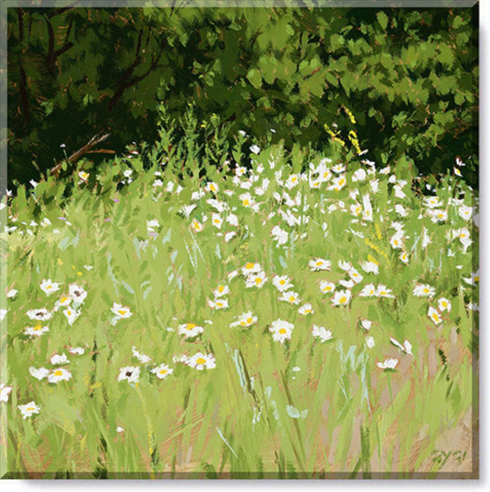 Darren Gygi Home Collection Daisy Field by Darren Gygi - Wrapped Canvas ...