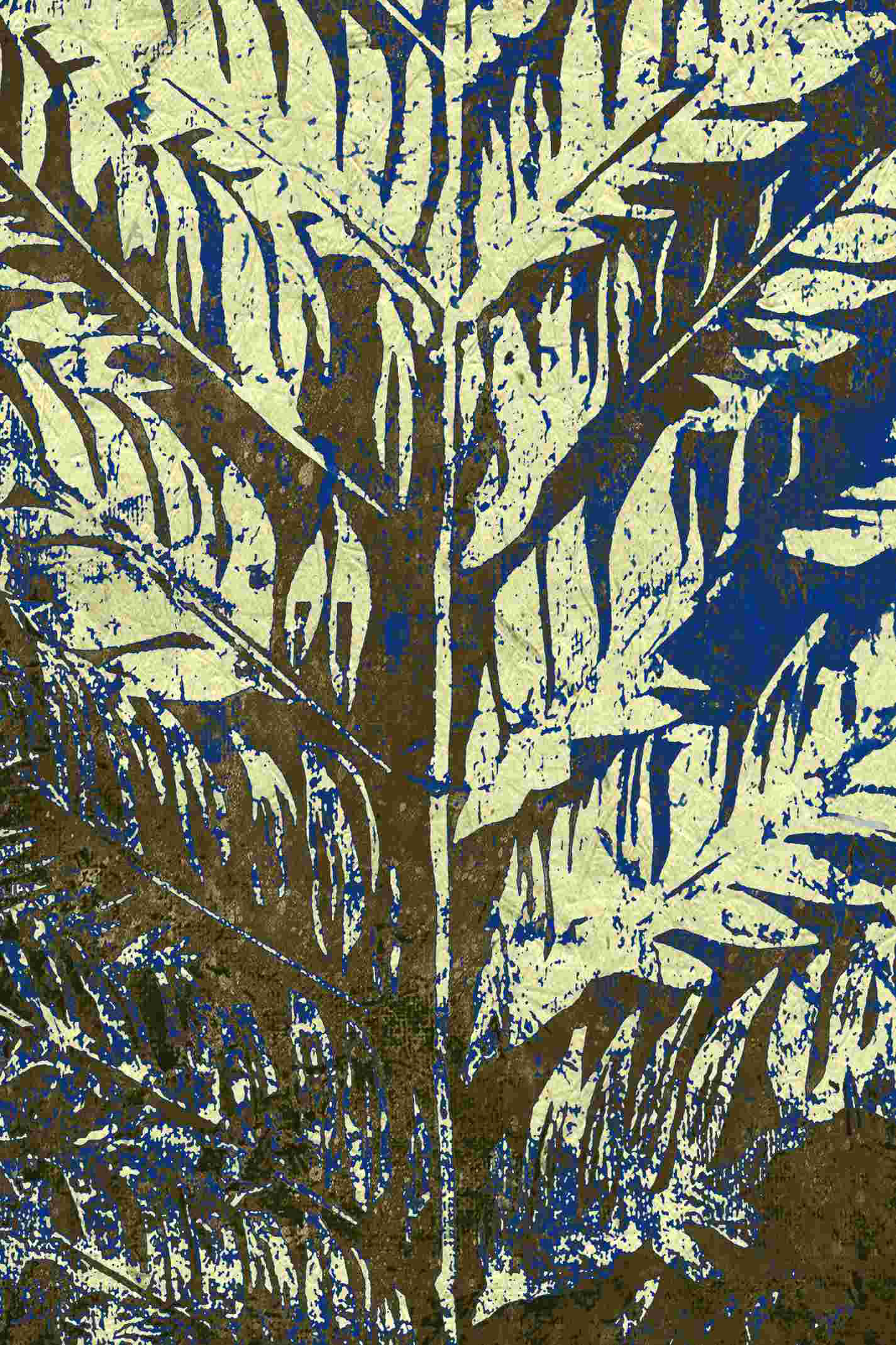 Winston Porter Where The Fern Grows - Wrapped Canvas Print | Wayfair