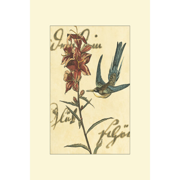 Rosalind Wheeler Hummingbird Reverie IV by Vision Studio - Wrapped ...