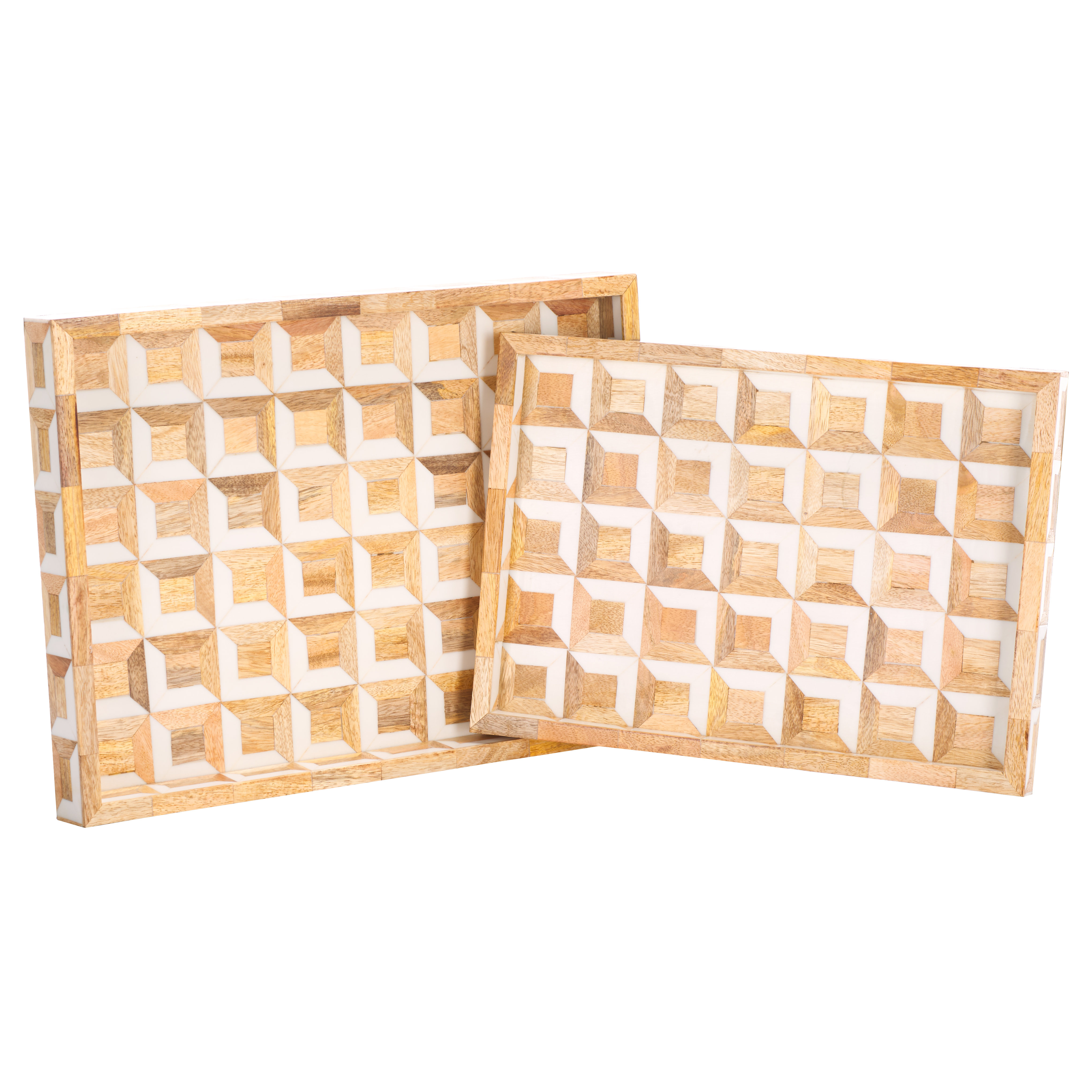 Joss & Main Hendrix Resin/Mango Wood/Mdf Tray Set | Wayfair