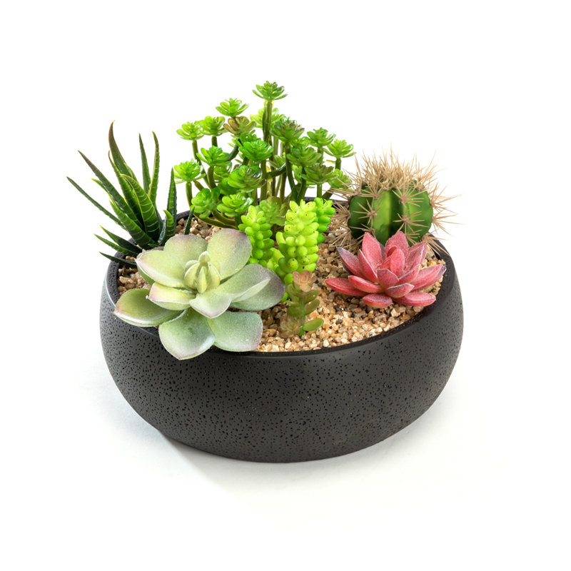 Dakota Fields Caaliyah Ceramic Pot Planter | Wayfair