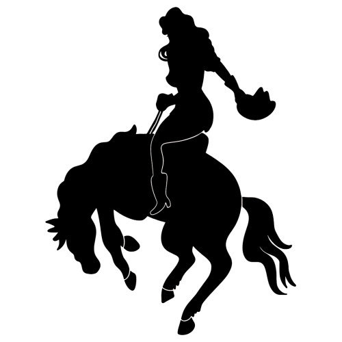Wet Paint Printing SS11208 Rodeo Cowgirl Woman on Bucking Horse ...
