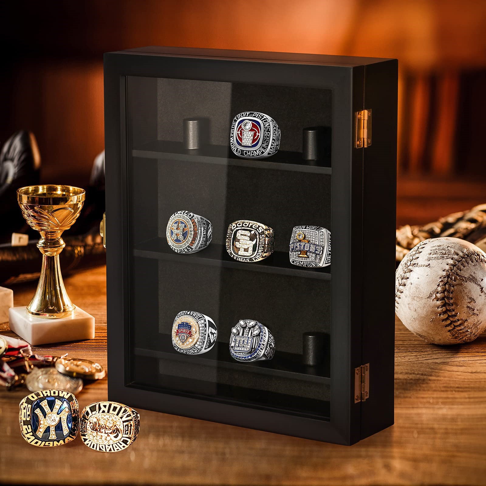 ARMIJU Championship Ring Display Case | Wayfair