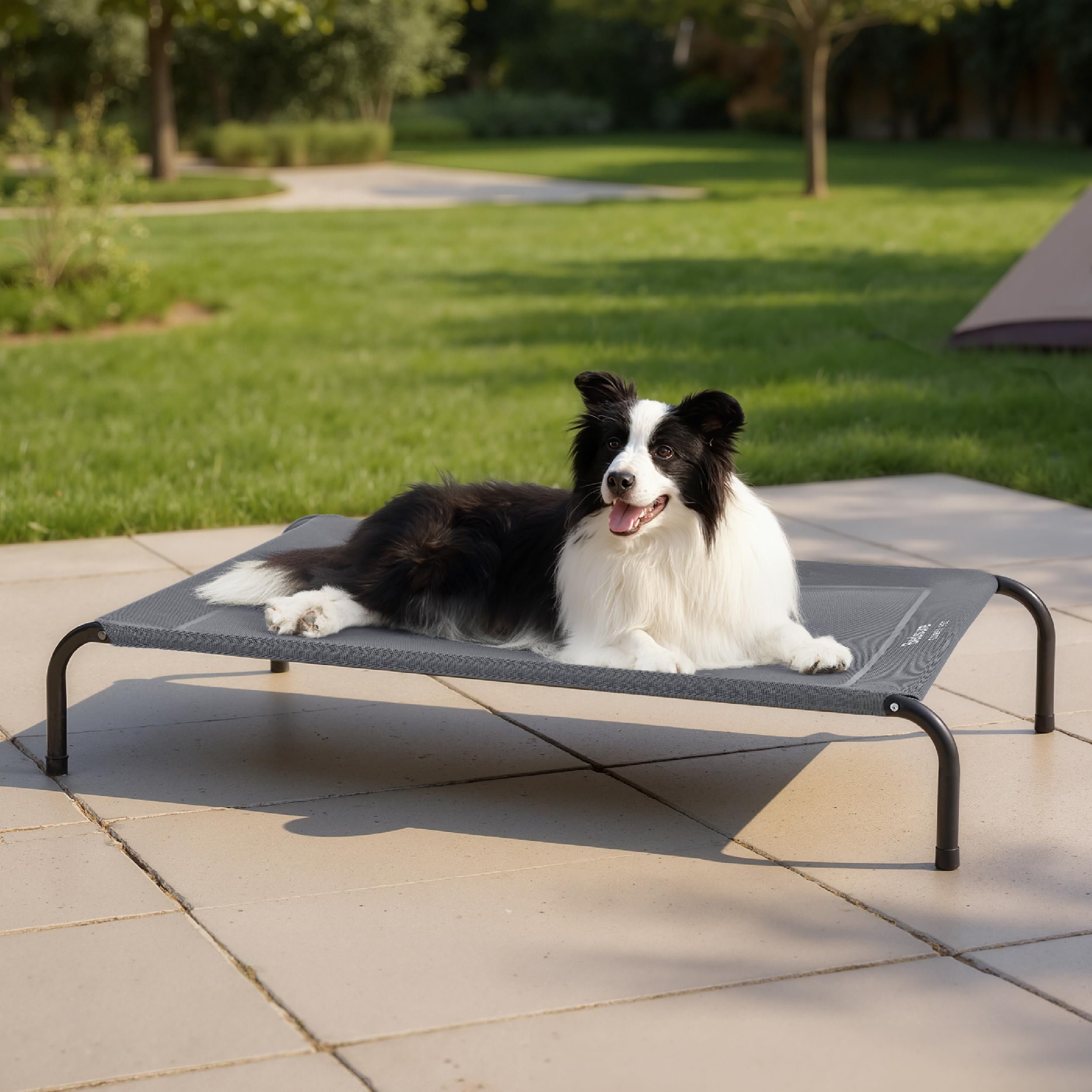 Brayden Studio Elevated Dog Bed | Wayfair.co.uk