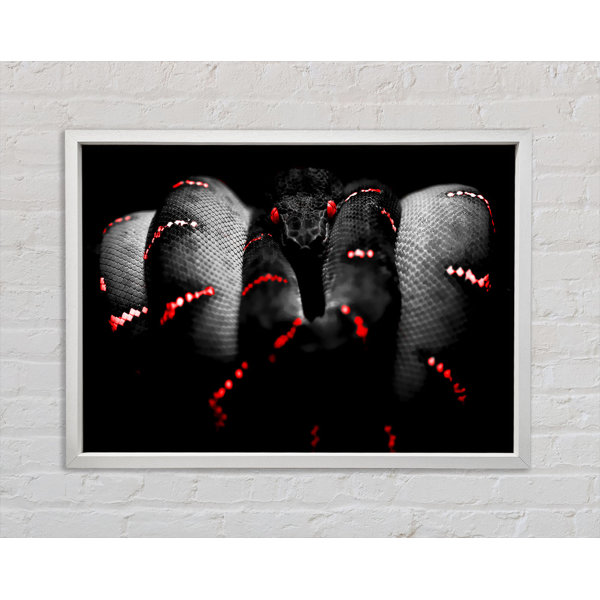 Bright Star Snake Venom - Single Picture Frame Print on Canvas ...