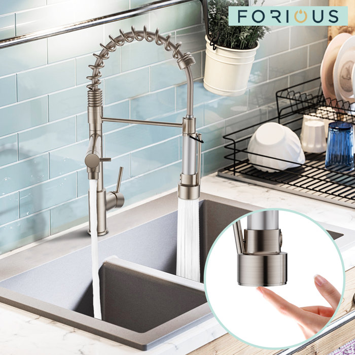 FORIOUS Kitchen Faucet & Reviews | Wayfair