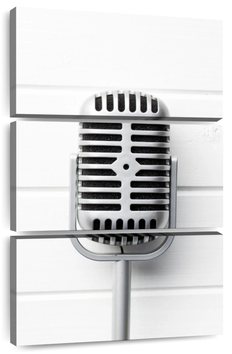 Elephant Stock Retro Stage Microphone - Wayfair Canada