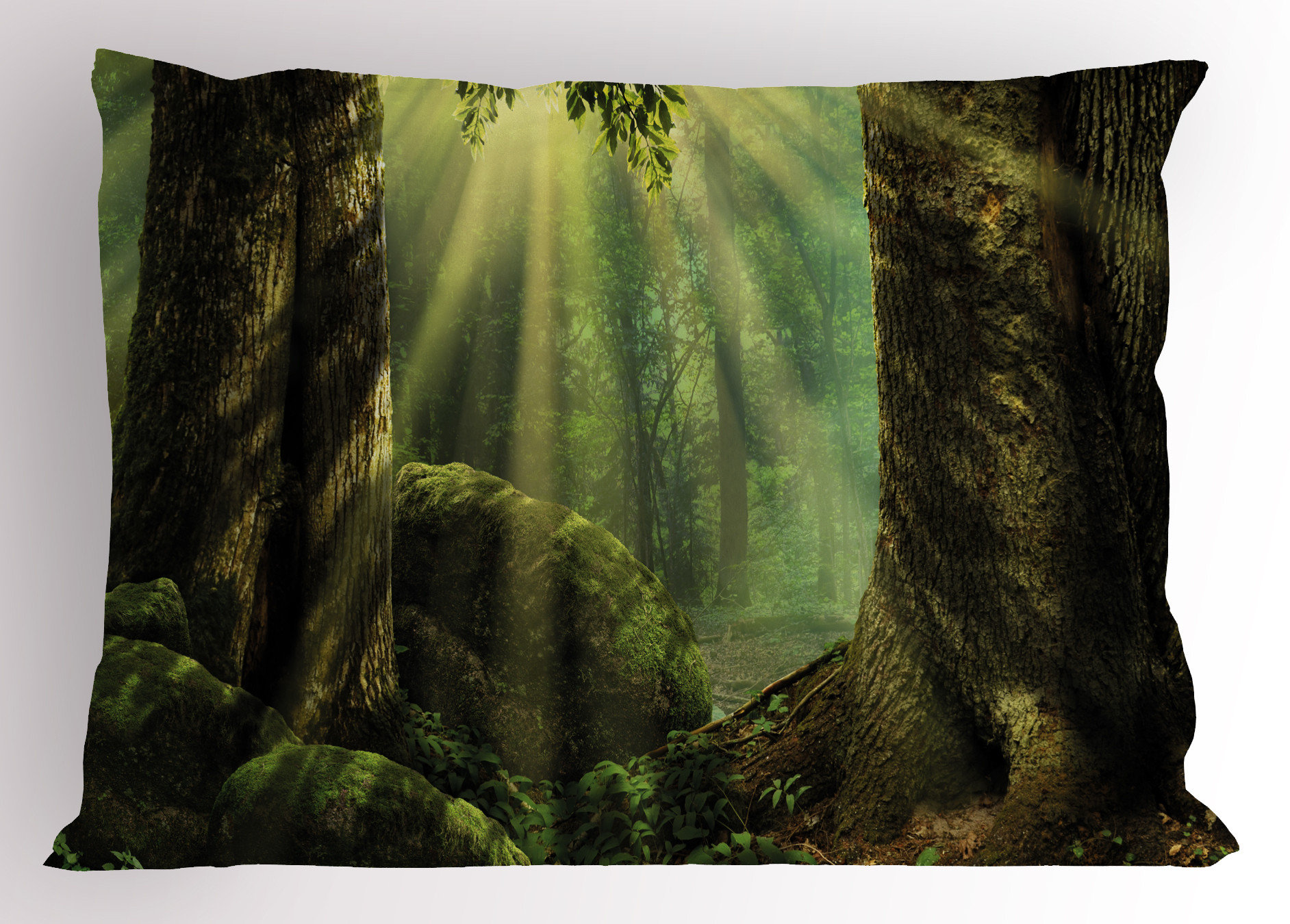Ambesonne Forest Pillow Sham 2 Pack Sunbeam Moss Tree Bodies Olive and ...