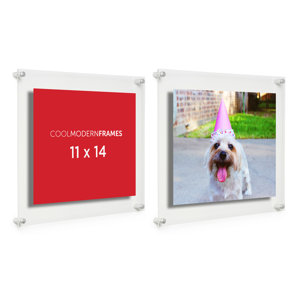Cool Modern Frames Clear Acrylic Floating Picture Frame & Reviews | Wayfair