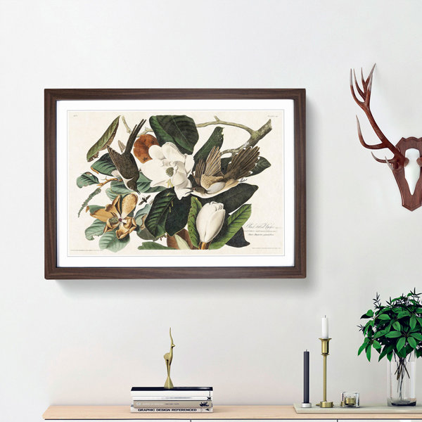 East Urban Home Black-Billed Cuckoo Birds by John James Audubon ...