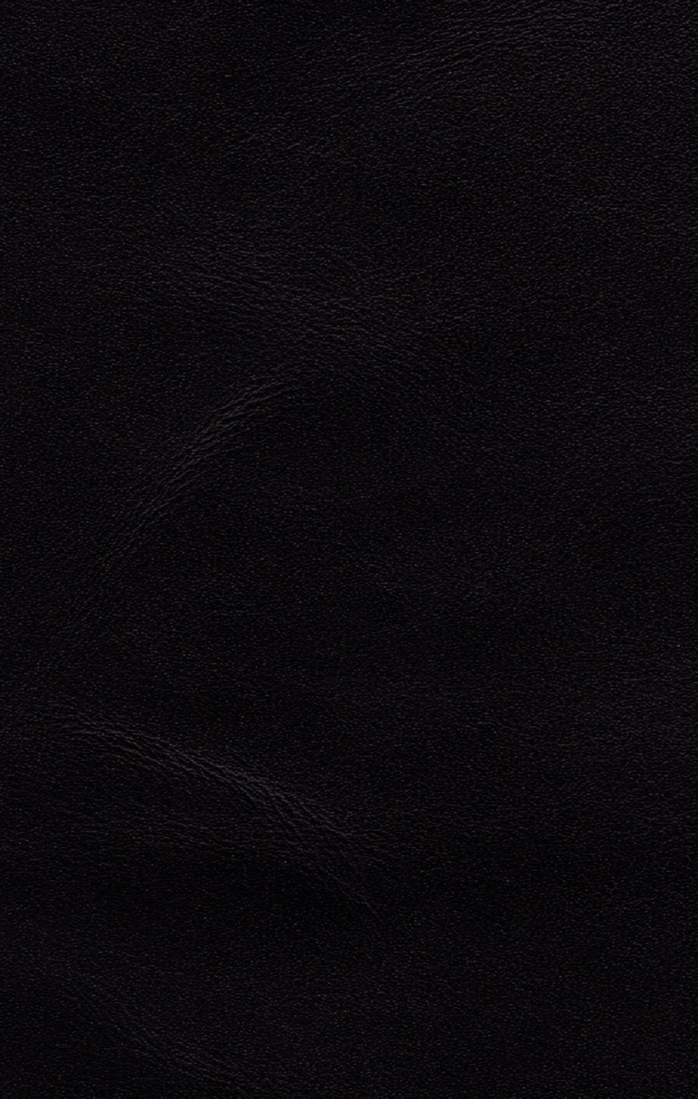 sohoConcept Zeyno Stackable Counter & Bar Stool | Wayfair