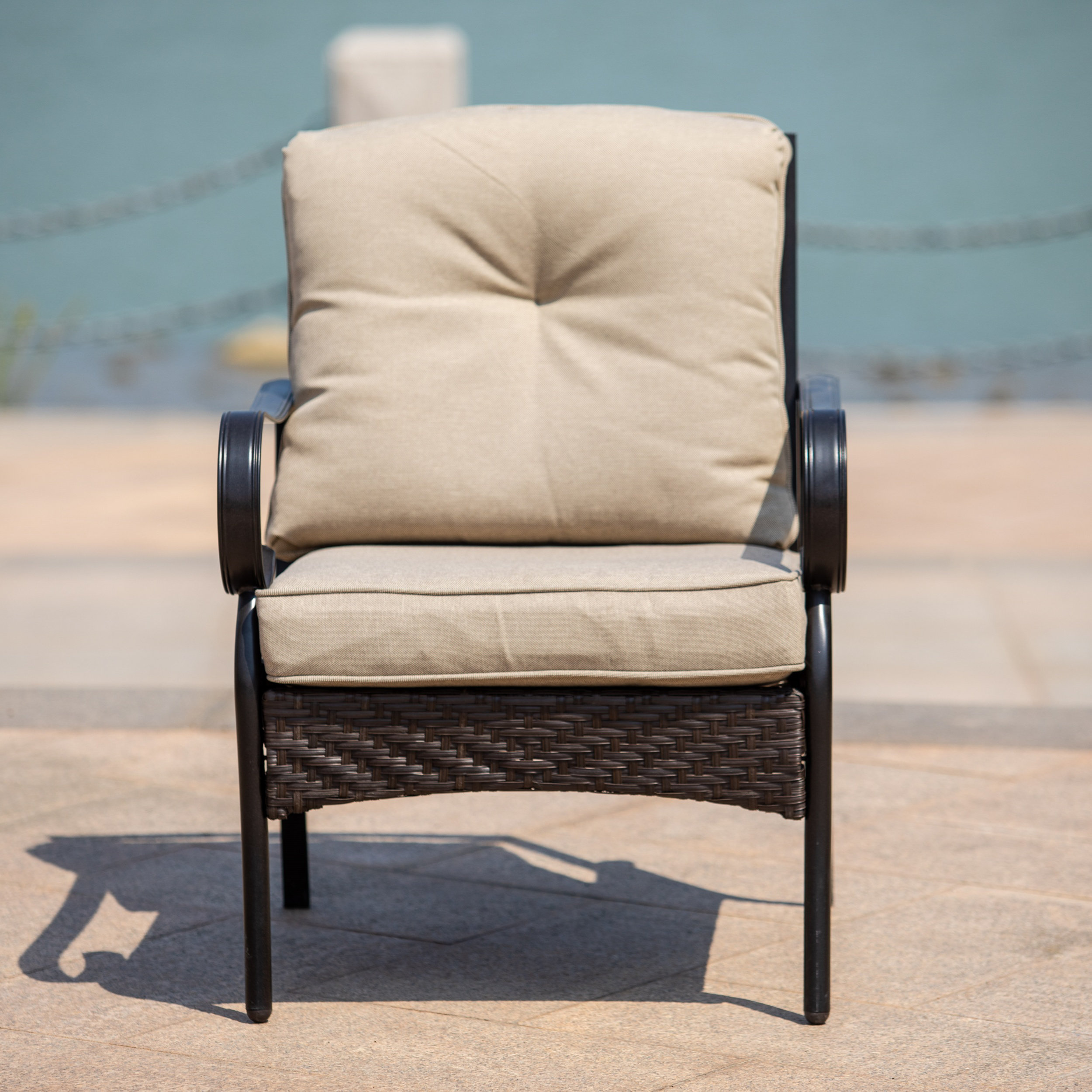 Winston Porter Leticia Outdoor Steel Wicker Single Chair With Beige ...