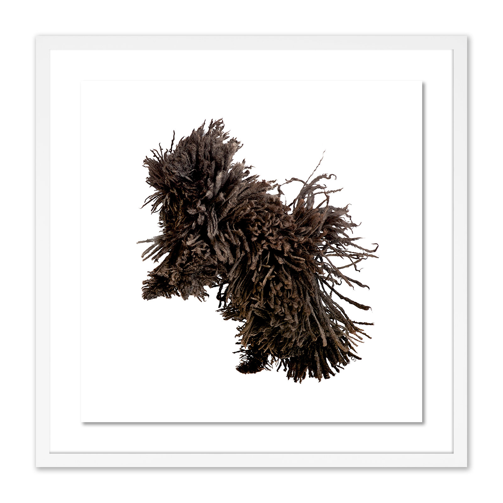 Four Hands Art Studio Puli Flying by Pernille Westh - Picture Frame ...