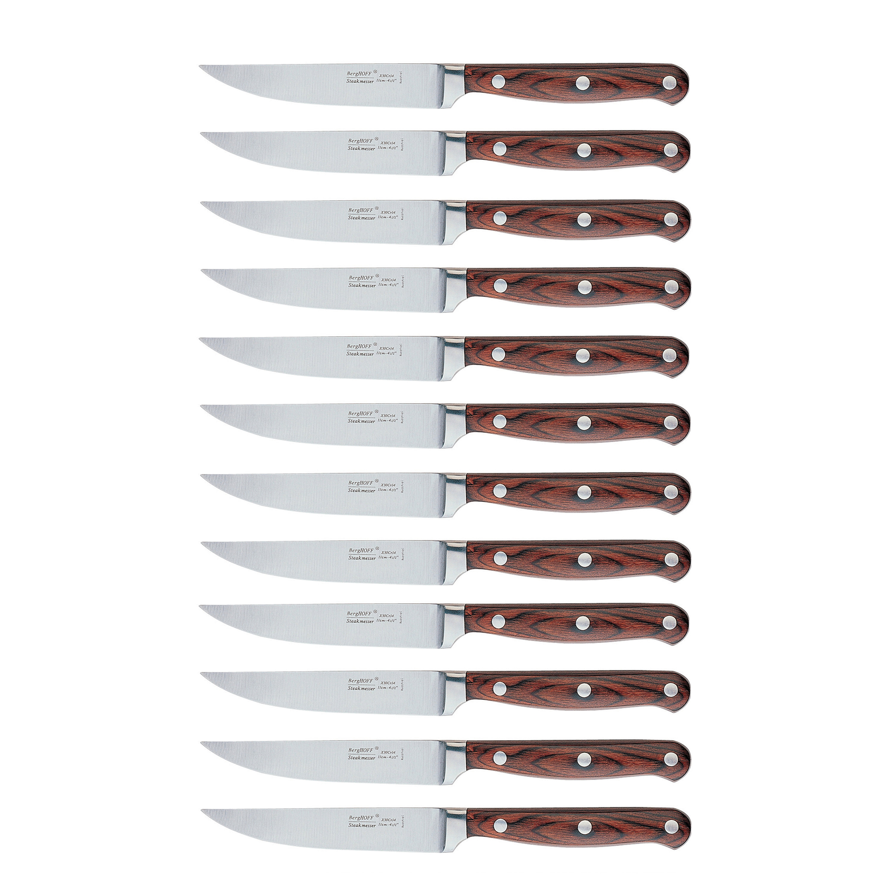BergHOFF Pakka 12Pc Stainless Steel Steak Knife Set, 12" | Wayfair