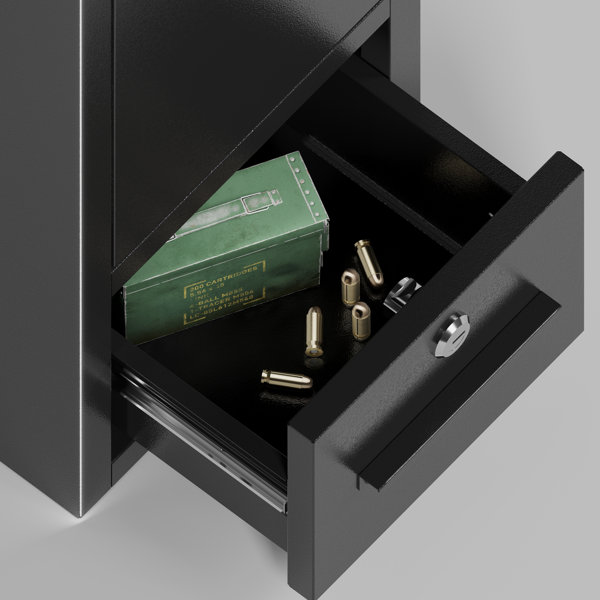 Element Ace 4 Gun Safe for Home: Rifle and Pistol Storage Cabinet with ...