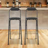 Latitude Run® Portable Folding Bar Stool With Backrest (2 Pcs, 29 ...