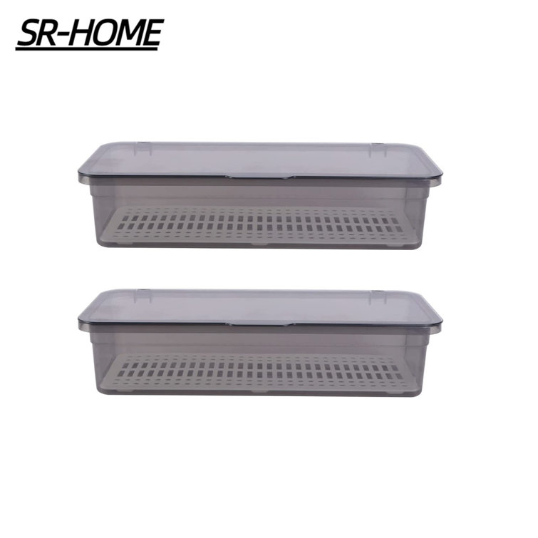 SR-HOME Plastic Rectangle Chest/Box - Wayfair Canada