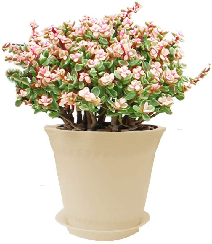 Winston Porter Pot à fleurs en métal avec treillis - Wayfair Canada