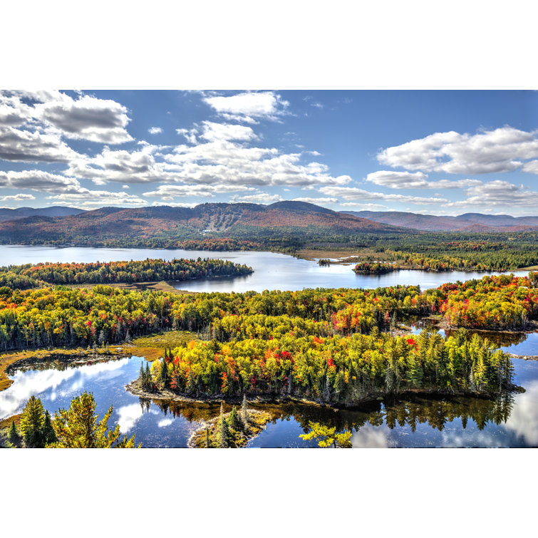 Union Rustic Autumn Tree by Pascal-L-Marius - Wrapped Canvas Photograph ...