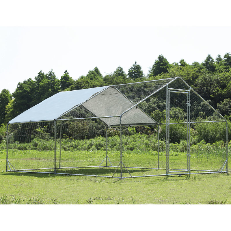 Tucker Murphy Pet™ Erineo 129.17 Square Feet Chicken Coop For Up To 14 ...