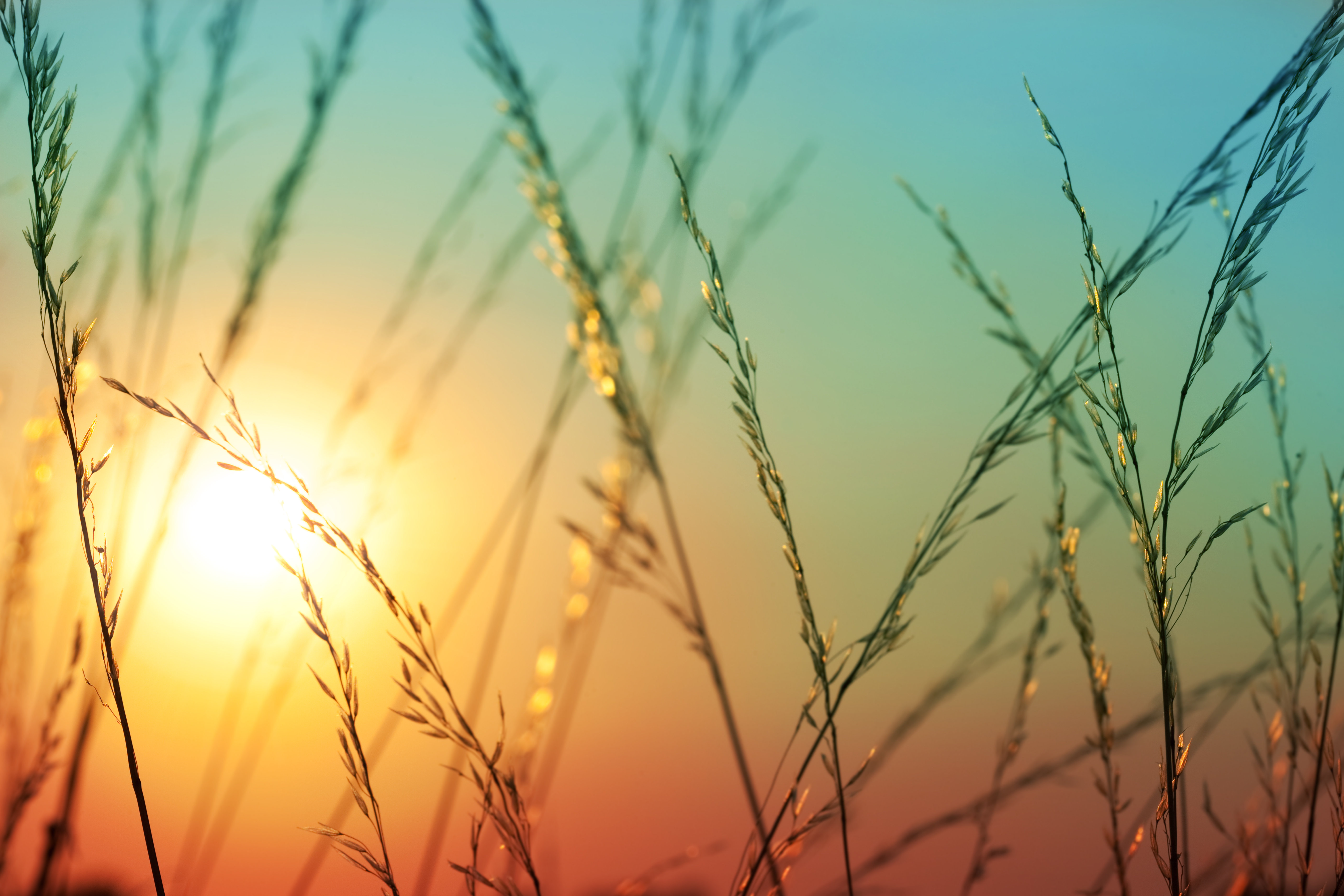 House of Hampton Summer Sunset | Wayfair.ie