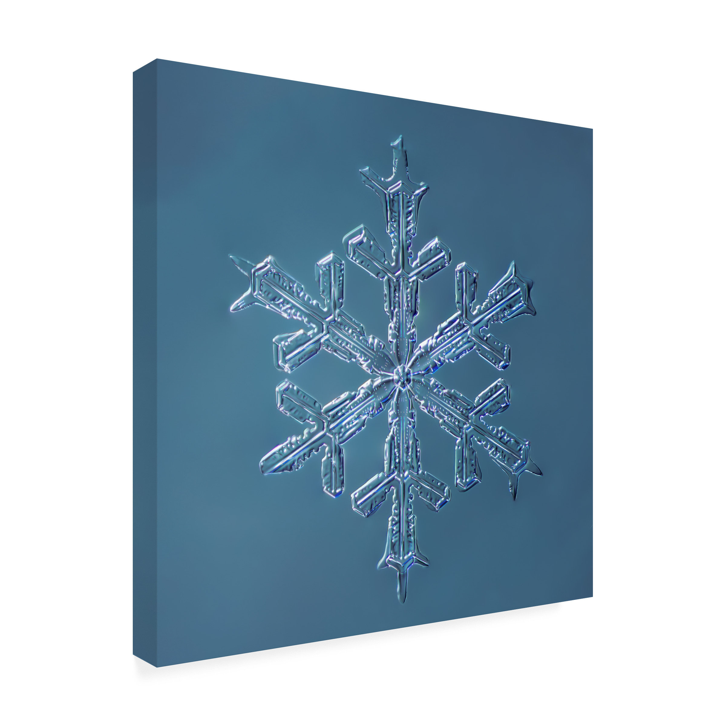 Ebern Designs Print Collection 'Stellar Dendrite Snowflake 1' Canvas ...