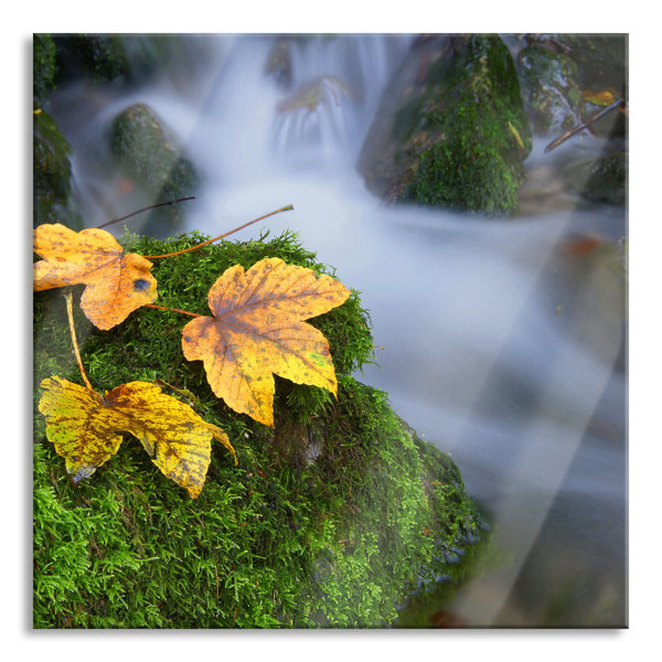 Union Rustic Leaves On Moss At Brook - No Frame Print on Glass ...