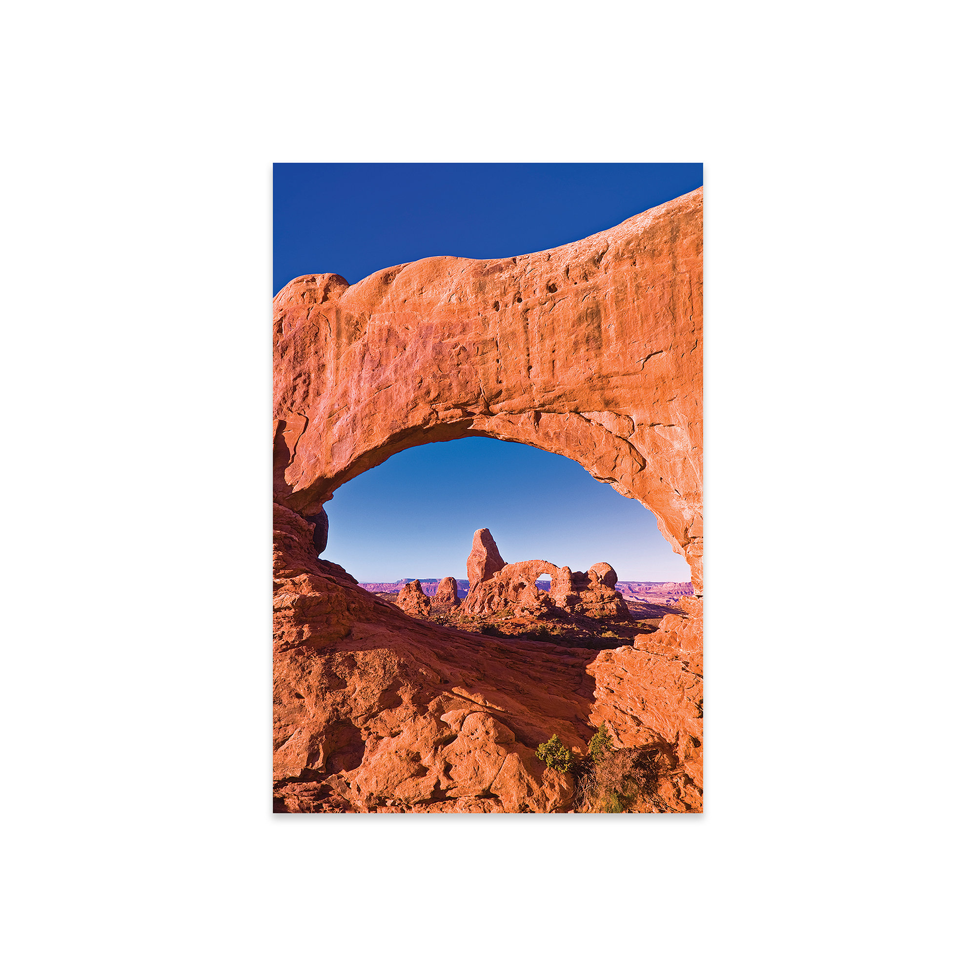 Millwood Pines " Morning Light On Turret Arch Through North Window ...