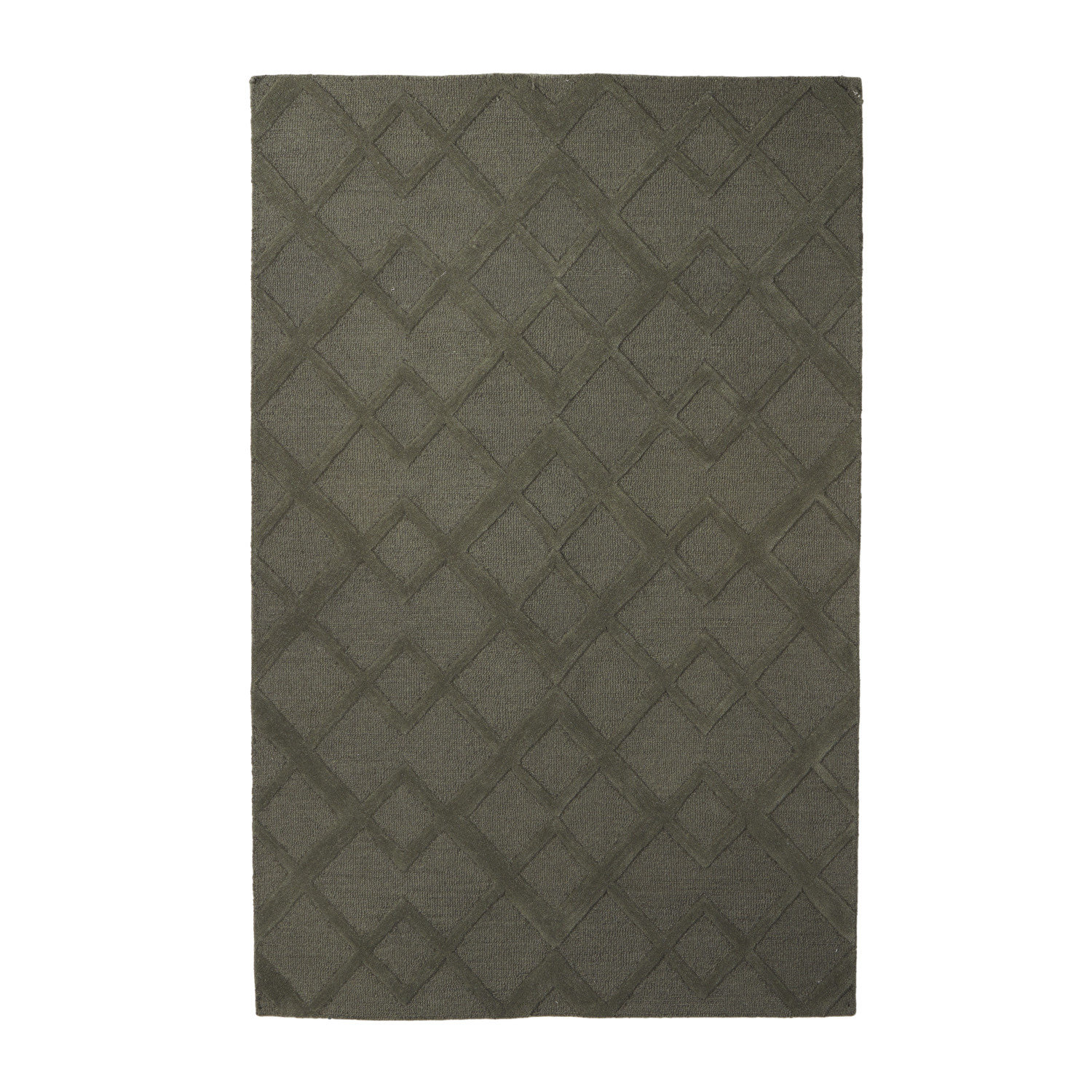 Foundry Select Hand Hooked Wool Green Rug | Wayfair
