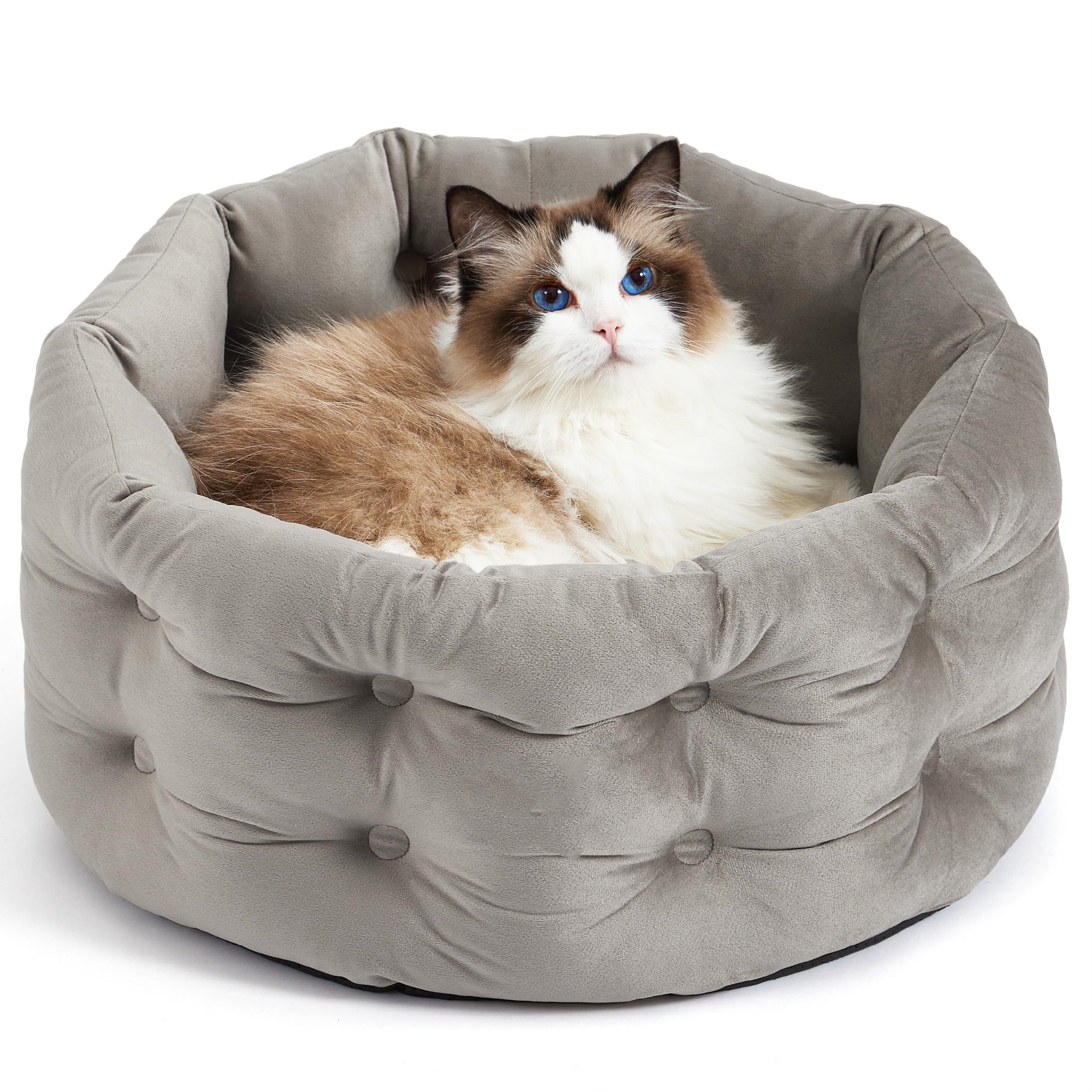 Bloomsbury Market Round Cat Beds for Indoor Cats, Washable Small Dog ...