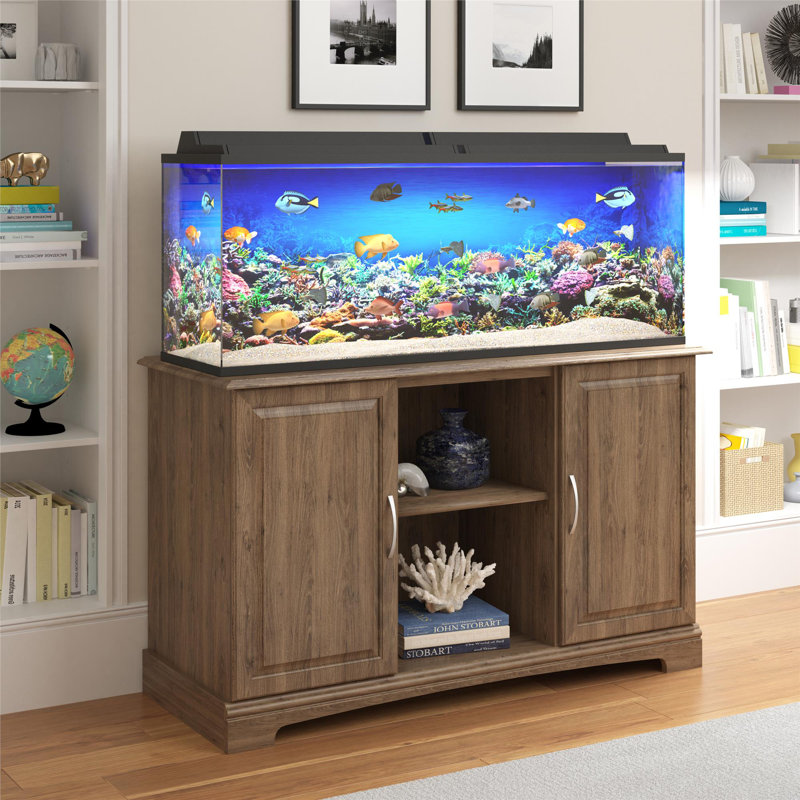 Archie & Oscar™ Deirdre Rectangle Aquarium Stand & Reviews | Wayfair