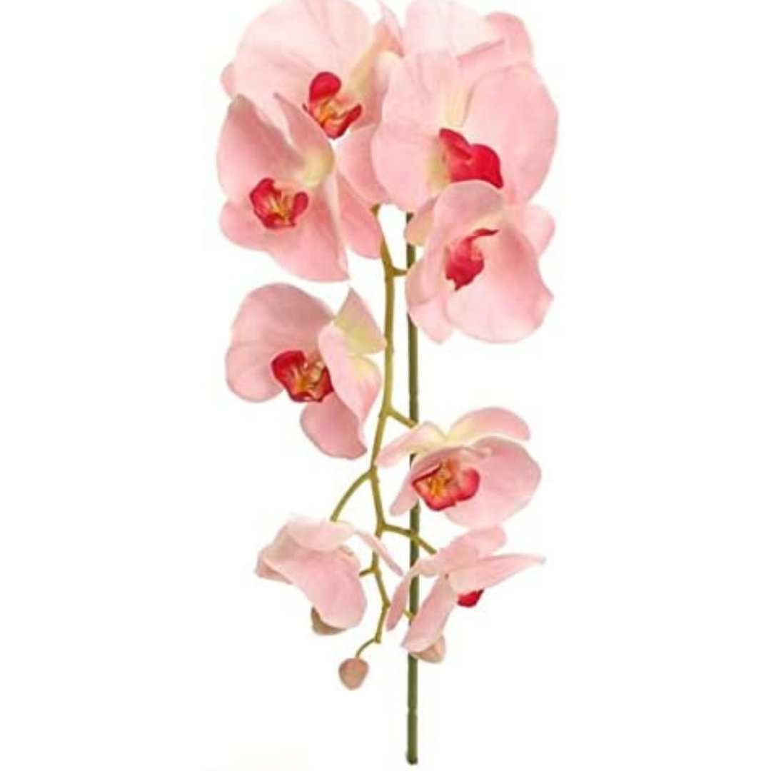 Primrue Silk Orchid Arrangement & Reviews | Wayfair