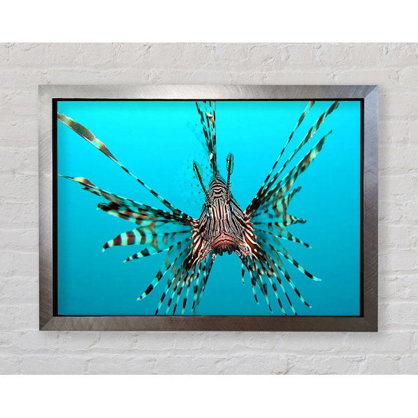 House of Hampton Red Lionfish Framed Print | Wayfair.co.uk
