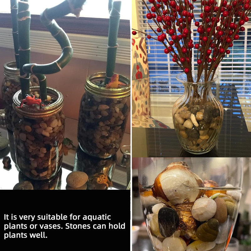 Millwood Pines Daffron Natural Stone Garden Stone | Wayfair