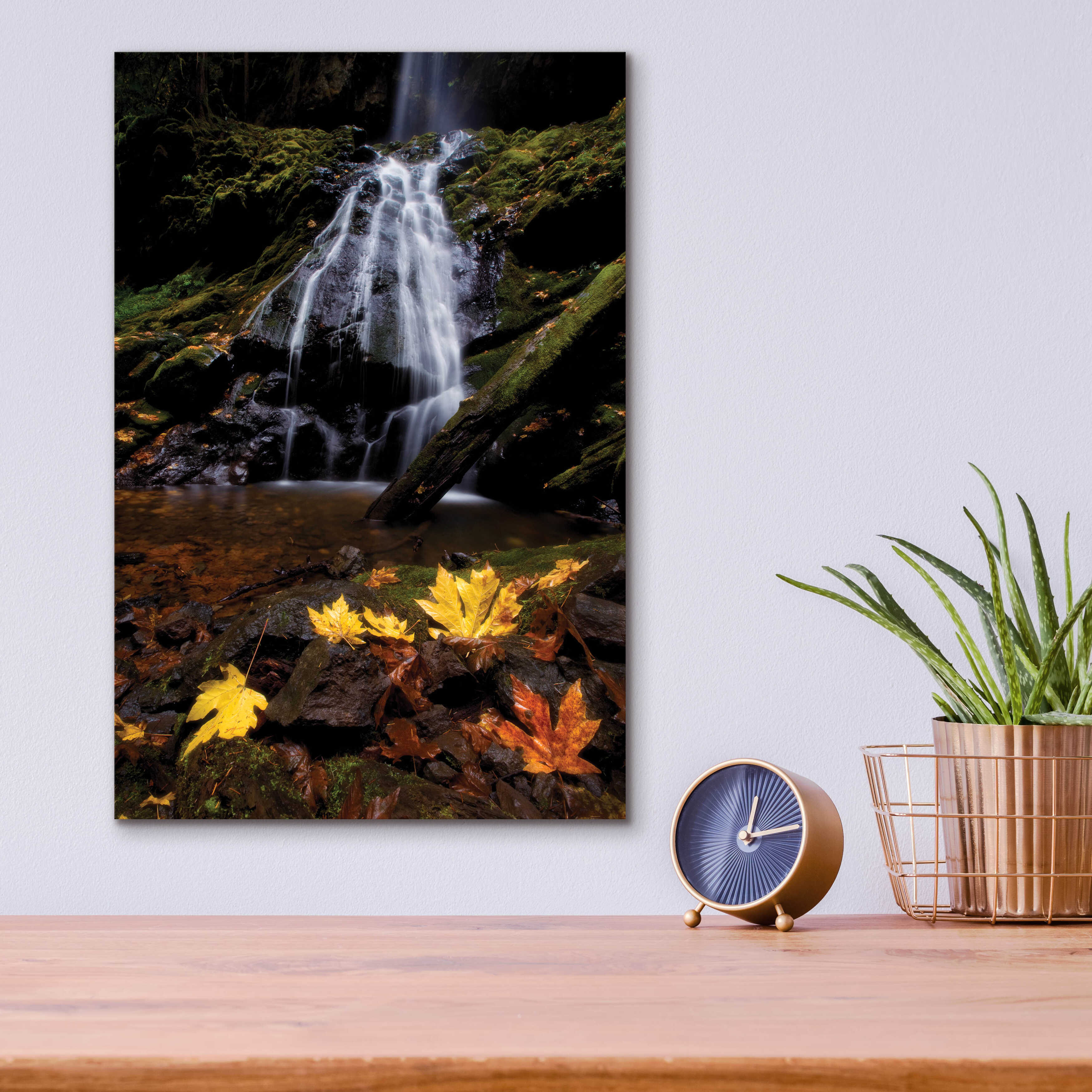 Millwood Pines Waterfall Maple Leaves by Thomas Haney - Unframed Print ...