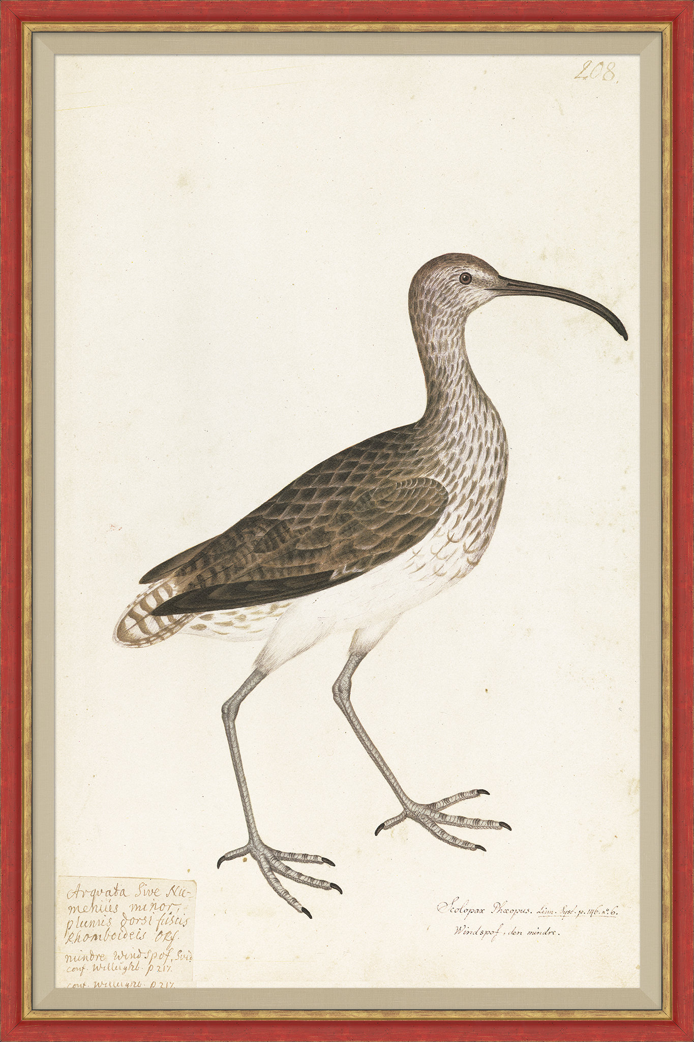Soicher Marin 18th Century Bird Re-Strikes XIII - Single Picture Frame ...