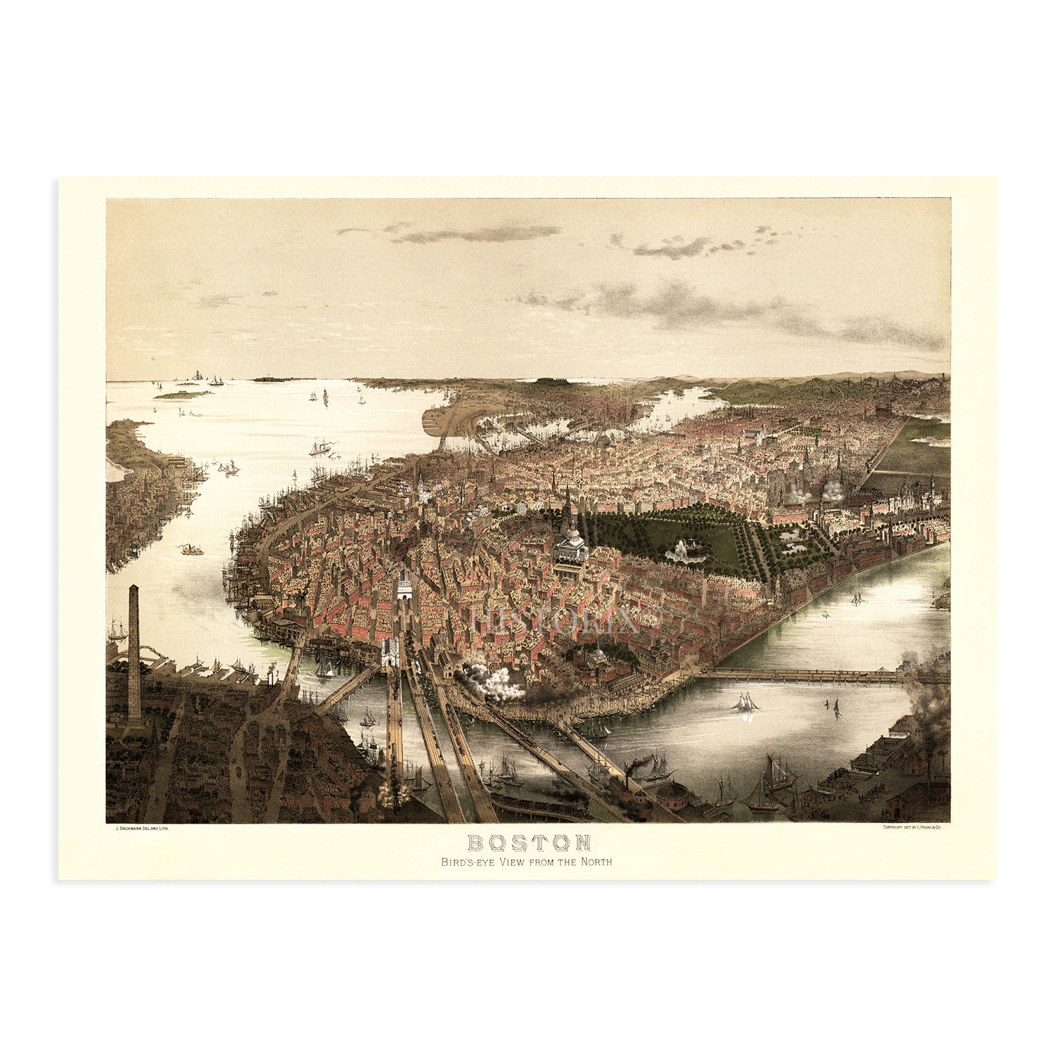 HISTORIC PRINTS 1877 Boston Map Poster Wall Art on Paper - Wayfair Canada