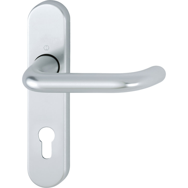 Symple Stuff Amajae Keyed Right Hand Door Handle | Wayfair.co.uk