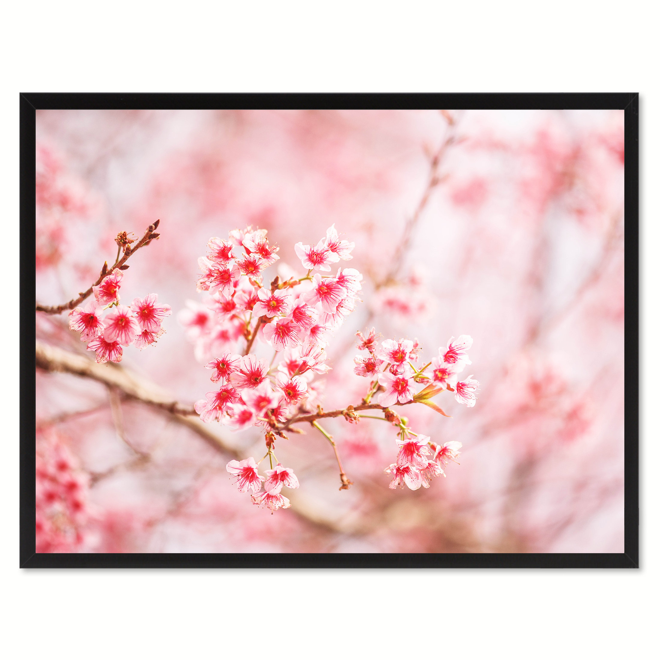 Winston Porter Cherry Blossom Flower Print on Canvas with Picture Frame ...