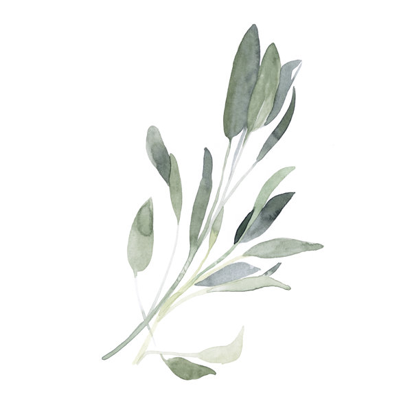 Rosalind Wheeler Simple Sage I On Canvas by Emma Scarvey Painting | Wayfair