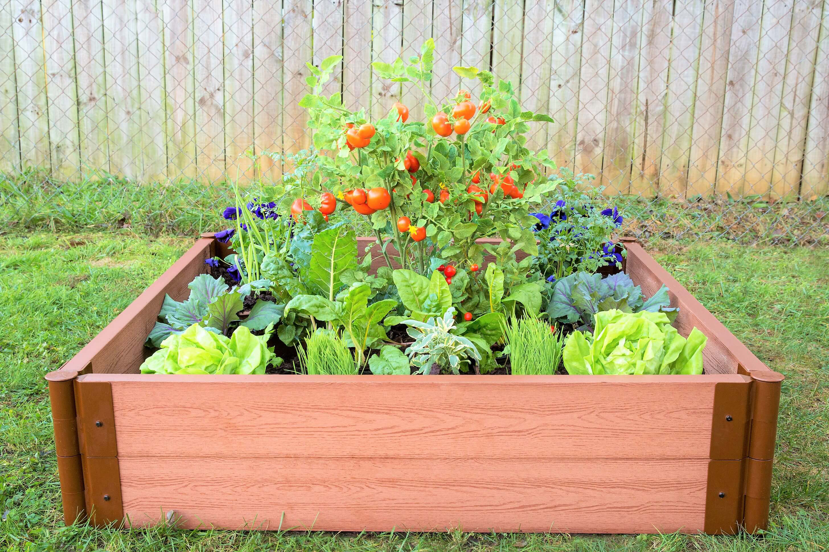 Frame It All Raised Garden Bed & Reviews - Wayfair Canada