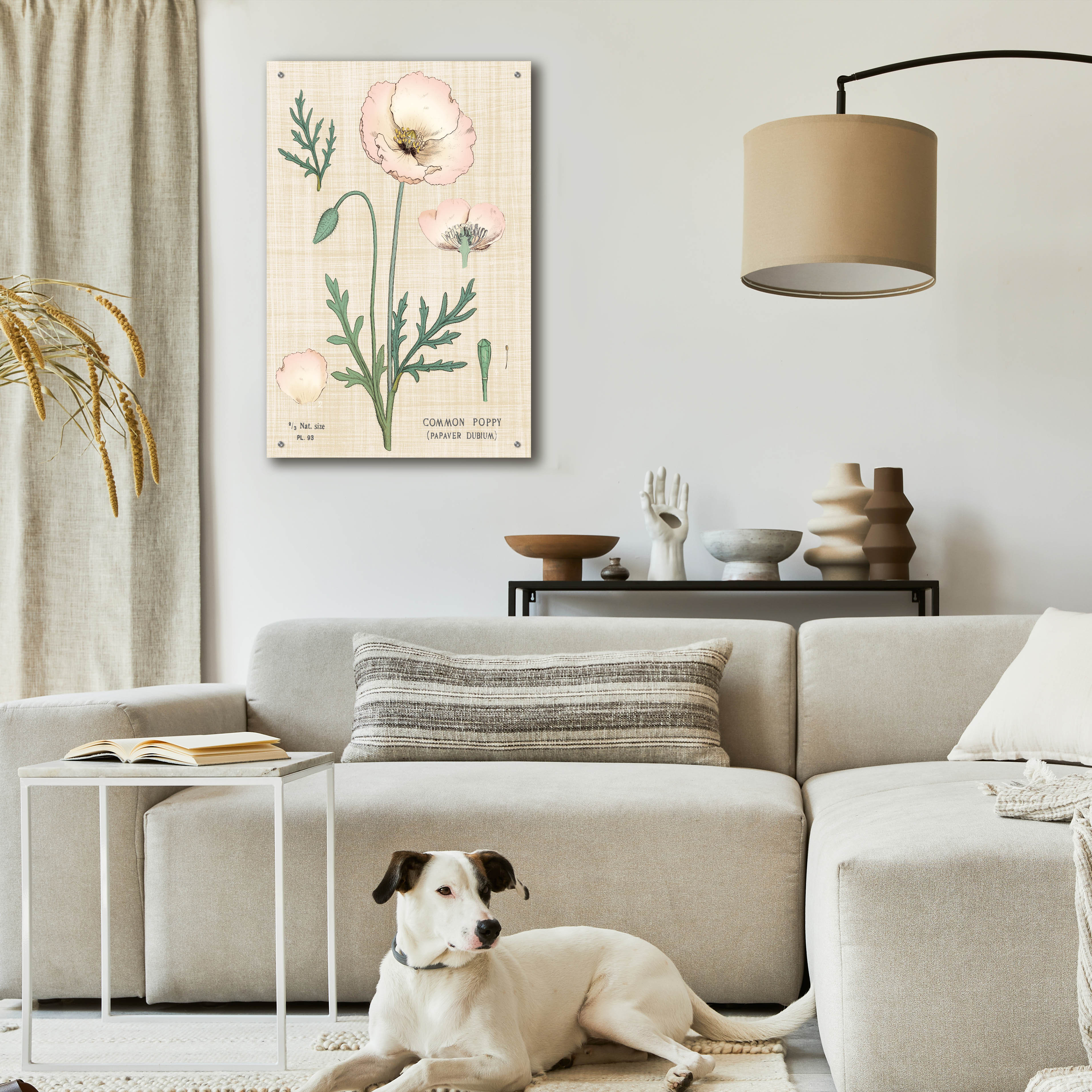 Winston Porter Poppy Chart Linen' by Sue Schlabach Acrylic Glass Wall ...