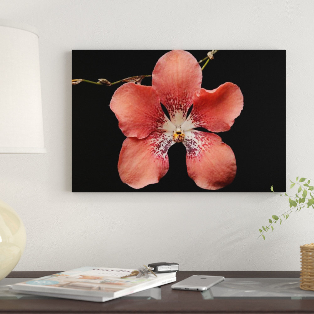 East Urban Home Orchid Flower, Sabah, Borneo, Malaysia - Wrapped Canvas ...