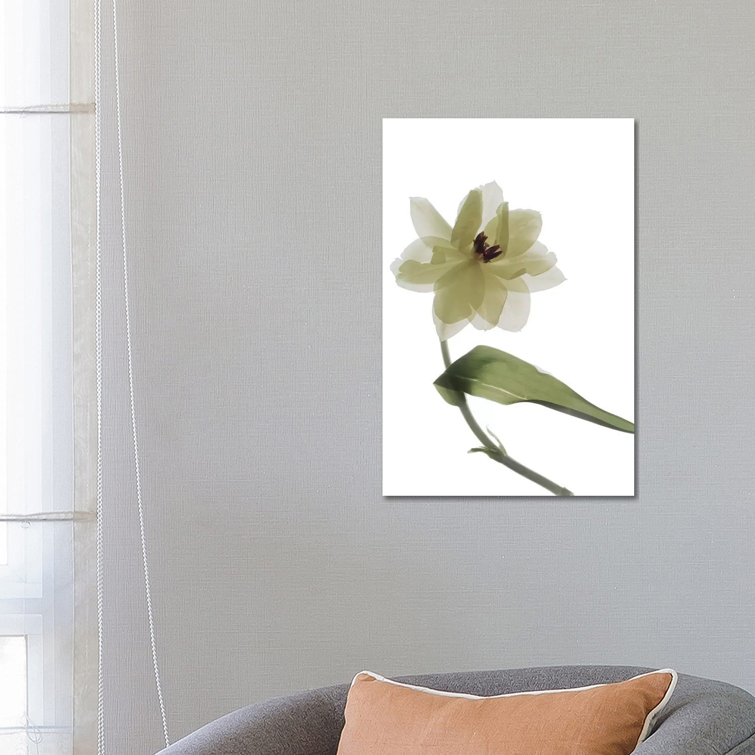 Brayden Studio X-Ray Tulip II | Wayfair.co.uk