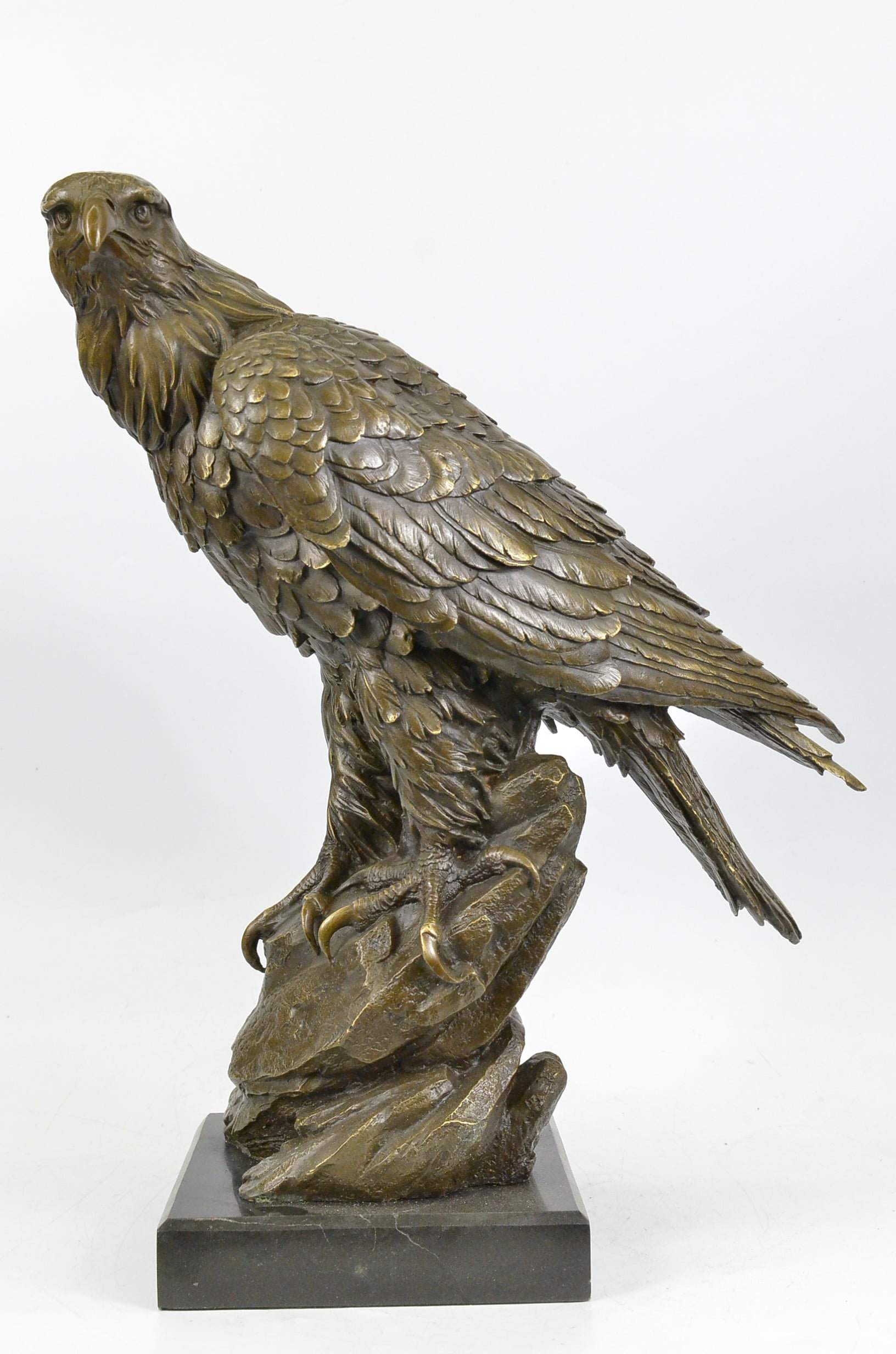 Loon Peak® Jyniah BRONZE Eagle Hawk Falcon Osprey Garden Park Zoo ...