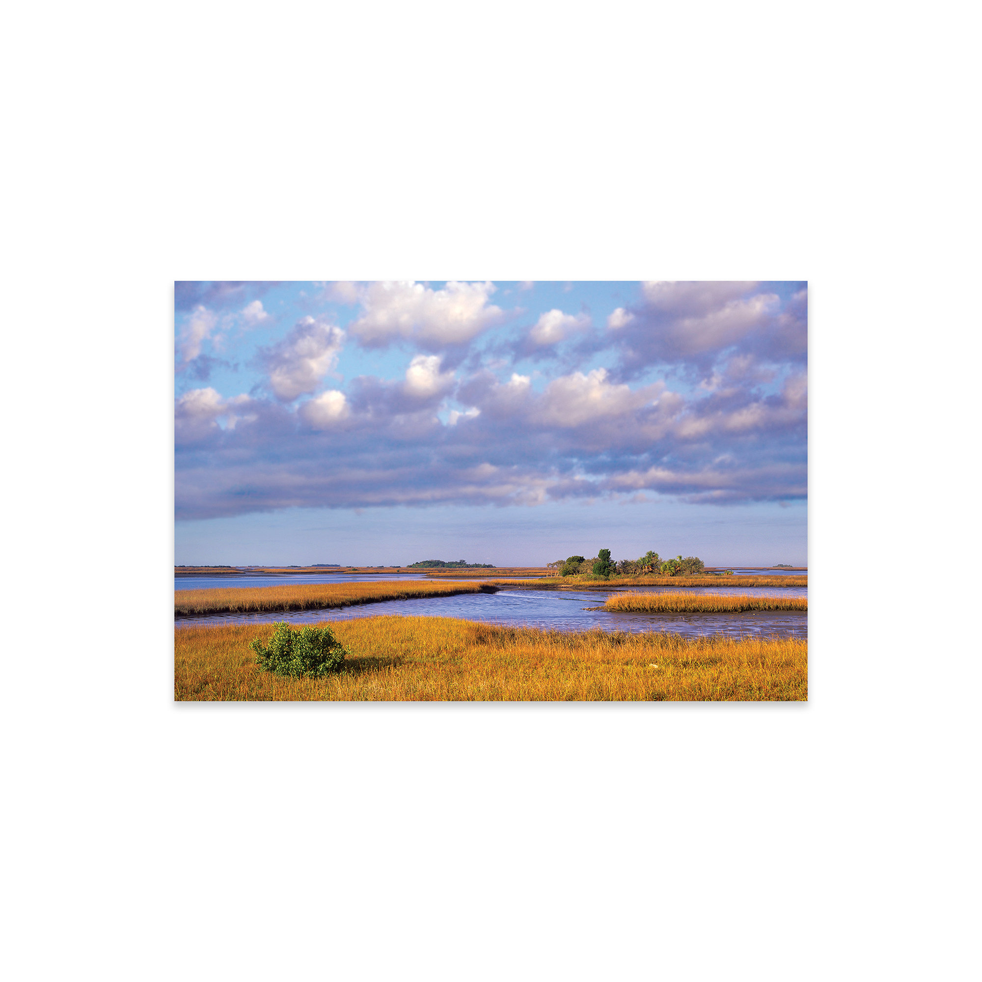 Latitude Run® Azelynn Saltwater Marshes at Cedar Key, Florida ...