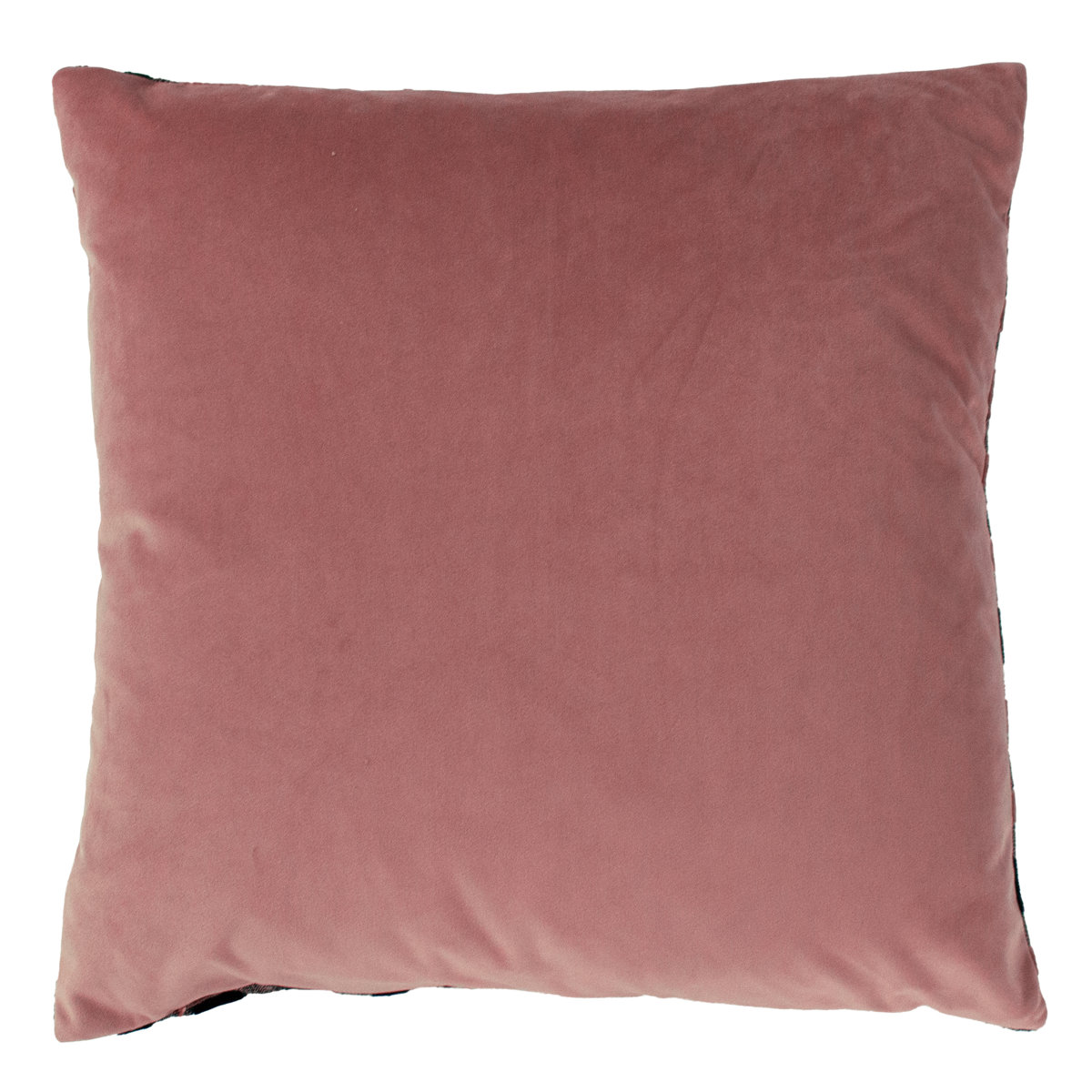 Paoletti Cushion with Filling & Reviews | Wayfair.co.uk